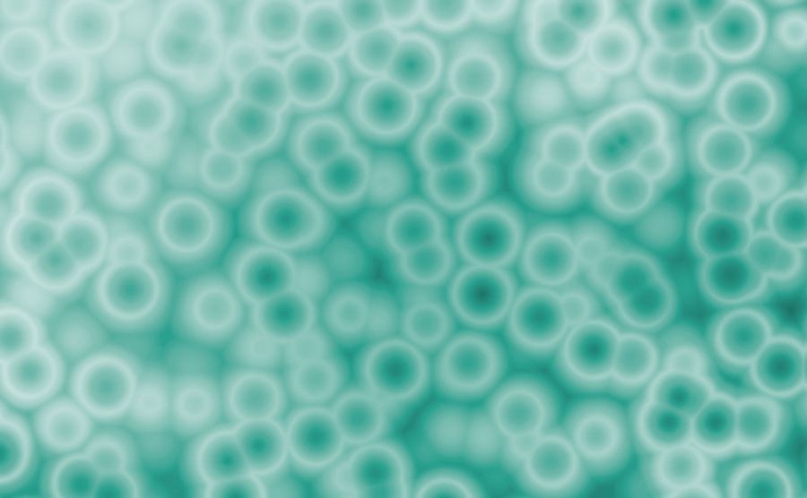 Making Microbiome Therapeutics a Reality | Today's Clinical Lab