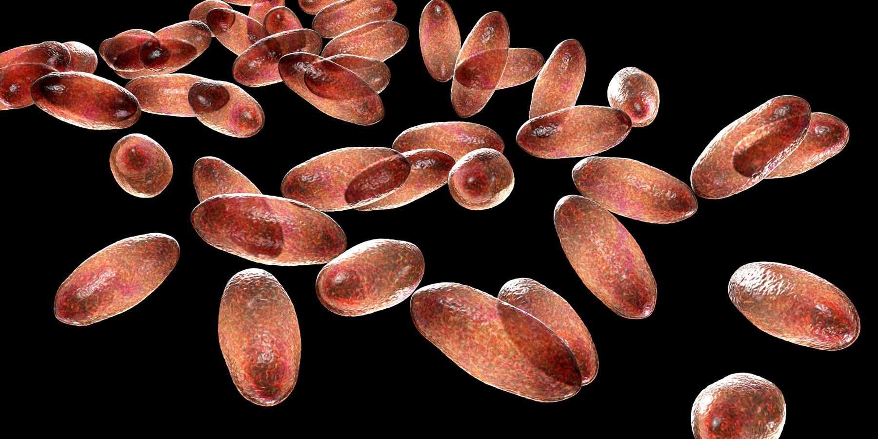 A Timeline of Pandemics | Today's Clinical Lab