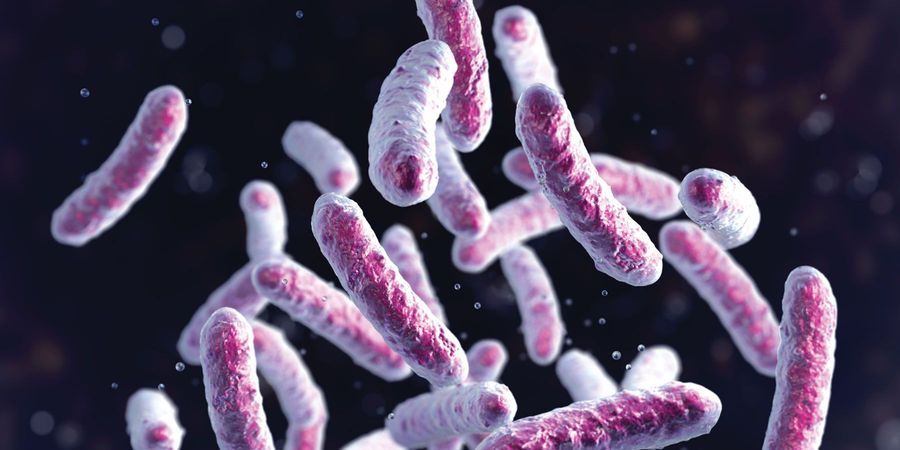 Molecular Tools for Tuberculosis Testing | clinicallab
