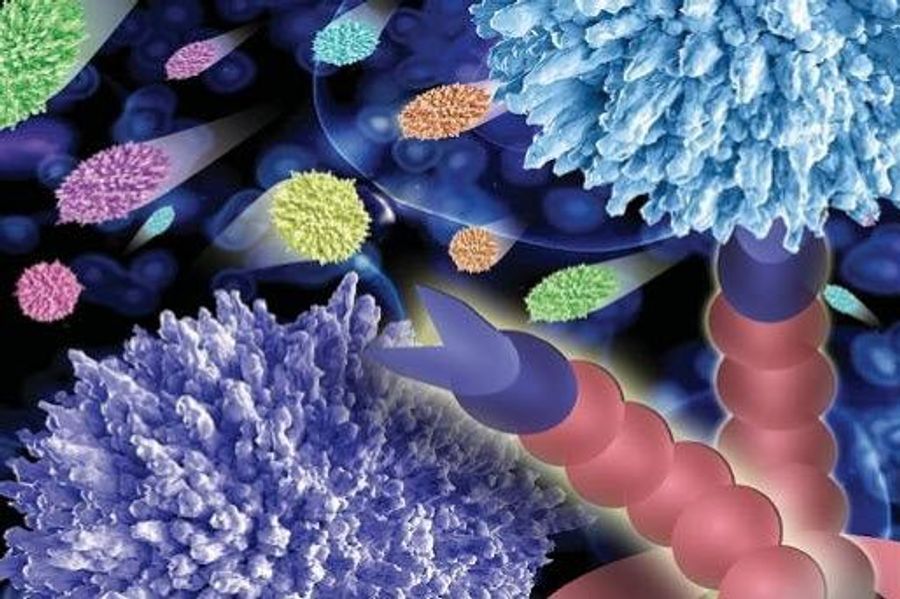 Multisample Technique to Analyze Cell Adhesion | clinicallab