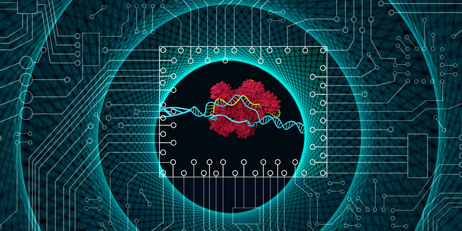 New CRISPR Editor Expands the Landscape of Precision Genome Editing ...