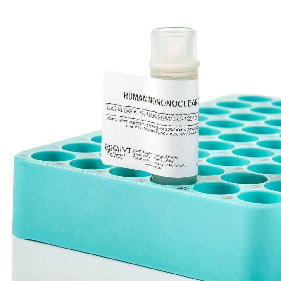 BioIVT Offers Expedited Delivery of Immune Cell Products for Cell and ...