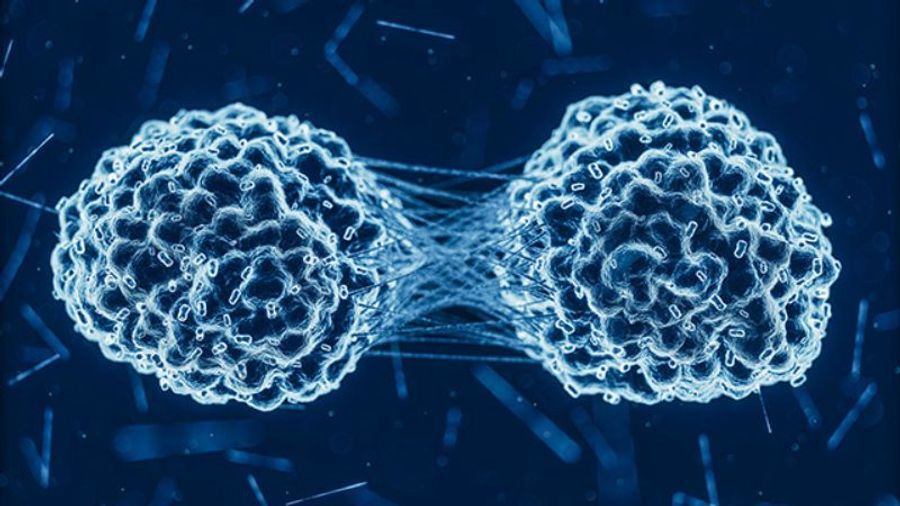 New Diagnostic Method Predicts Who Will Respond to Immunotherapy ...