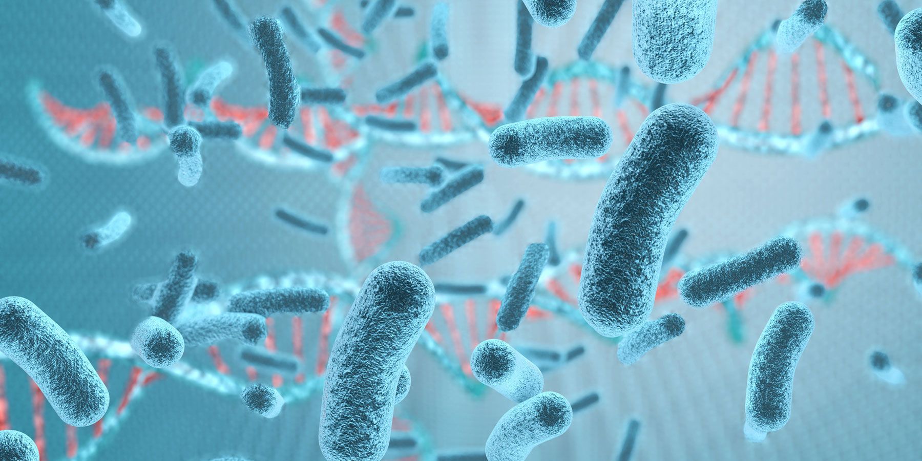 How RNA Editing Affects the Immune System | clinicallab