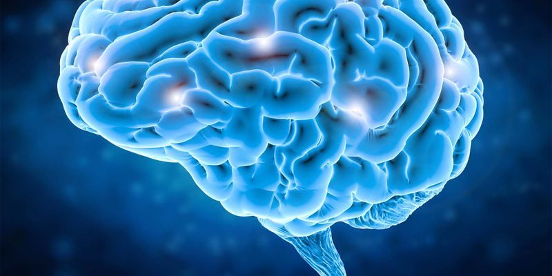 NIH Scientists Build a Cellular Blueprint of Multiple Sclerosis Lesions ...