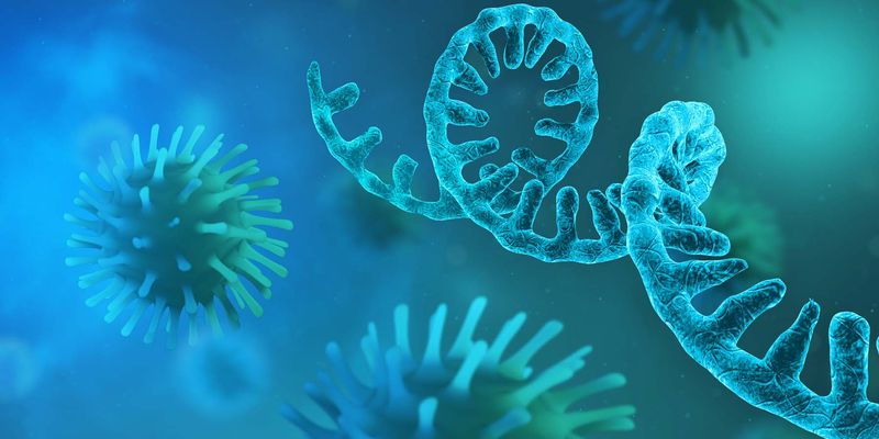 Creating a New Toehold for RNA Therapeutics, Cell Therapies, and ...