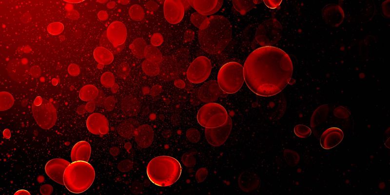 Fighting Blood Diseases with Artificial Intelligence | clinicallab