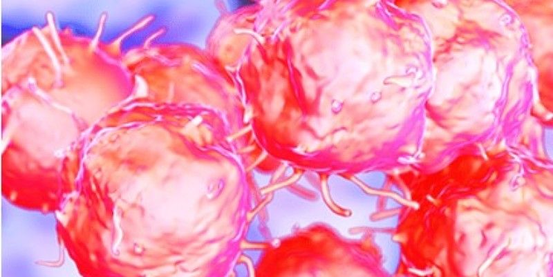 StemFit Purotein® Range Recombinant Proteins for Cell Therapy | clinicallab