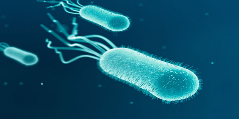Treating Disease with E. coli Engineered from Stool Samples | clinicallab