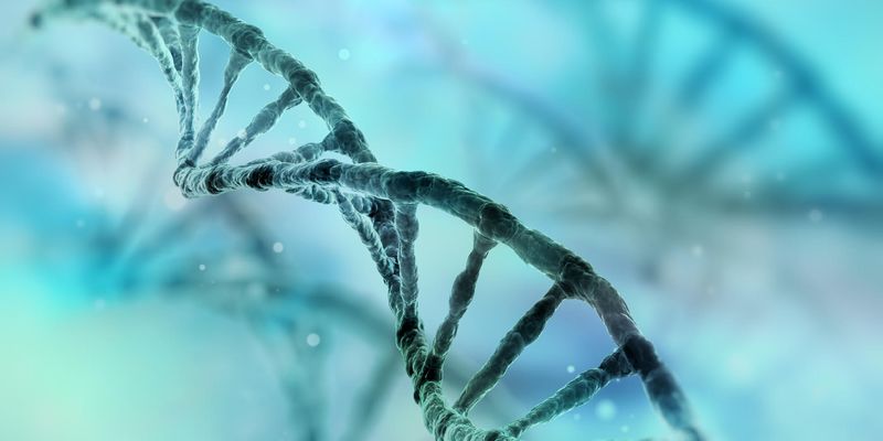 Ancient Viral Remnants in the Human Genome Are Active in Normal Tissues ...