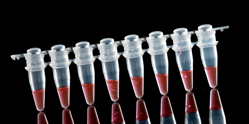 Removing Roadblocks in Cell and Gene Therapy Quality Control | Today's ...