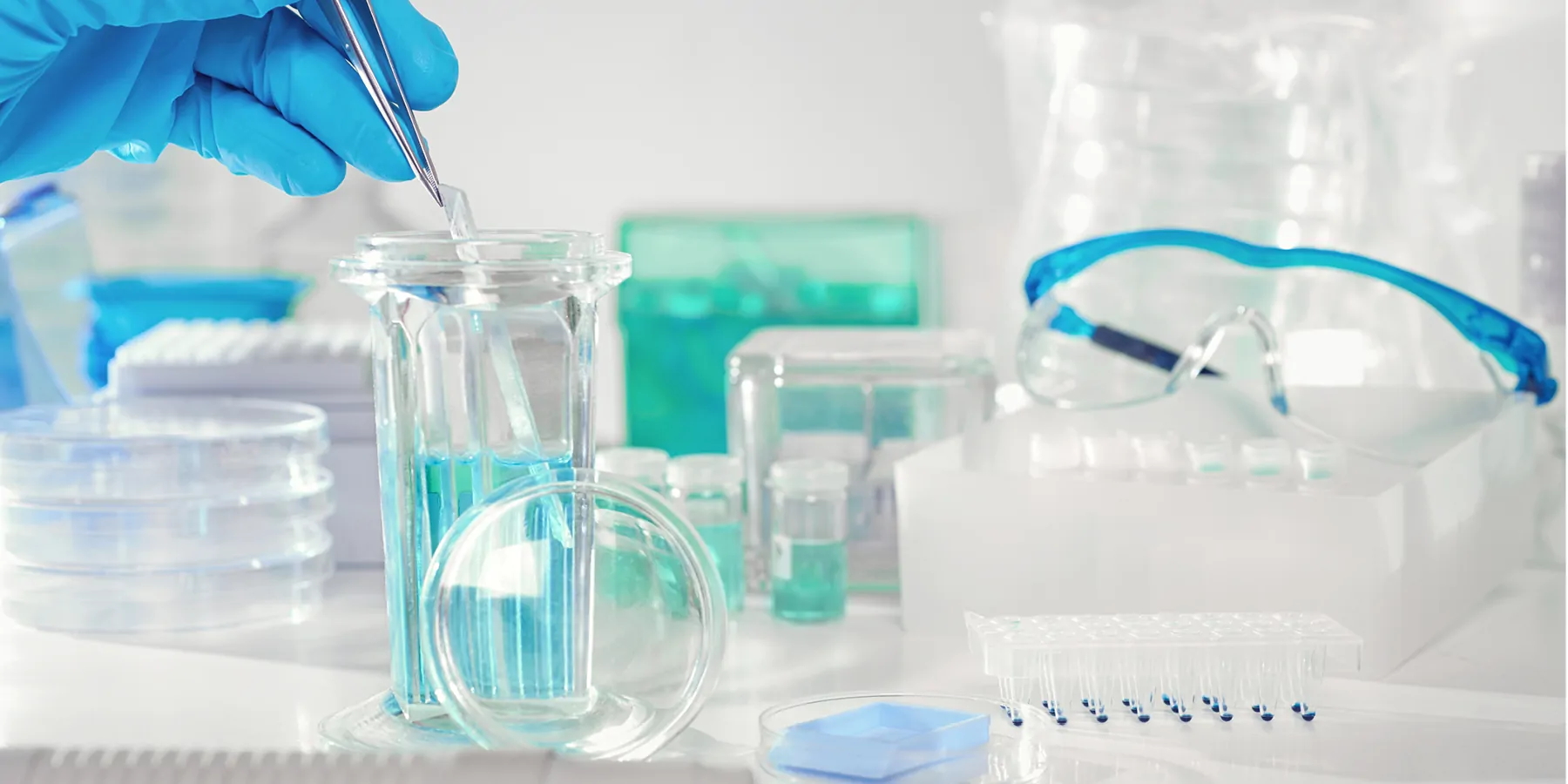 Artificial Intelligence Methods May Replace Histochemical Staining ...