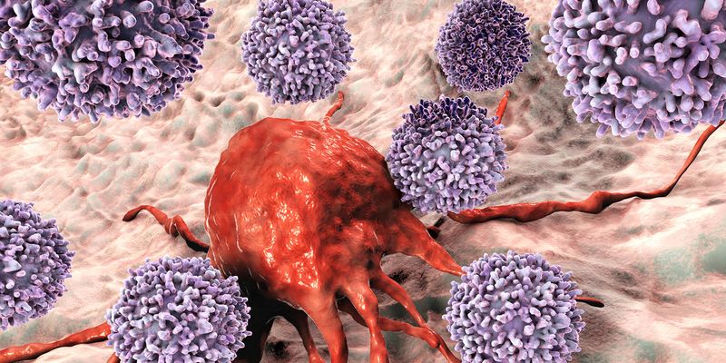 Pan-Cancer Atlas Confirms T-Cell Heterogeneity in Tumor ...