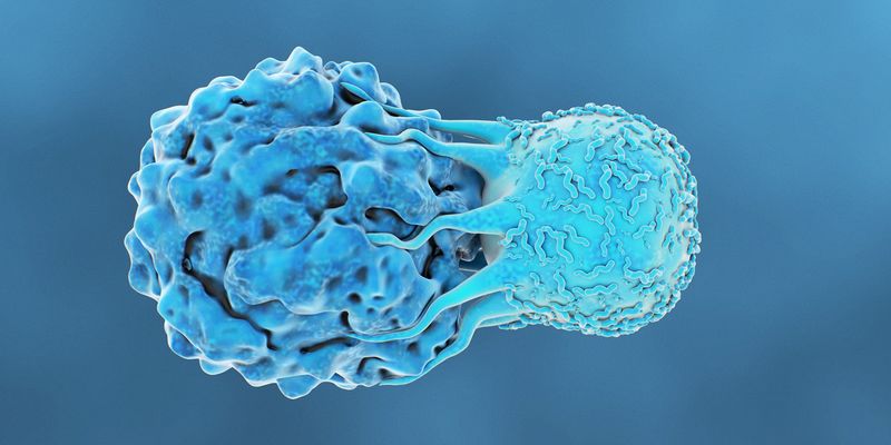 New CAR T-Cell Therapy for Advanced Ovarian Cancer | clinicallab