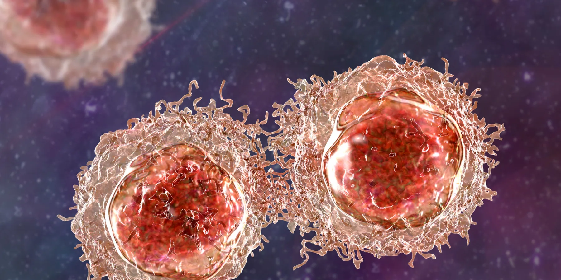 New First-Line Lymphoma Treatment Well-Tolerated in Phase 2 Trial ...