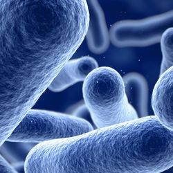 Diagnose Critical Infections by Detecting mcfDNA in Plasma With the ...