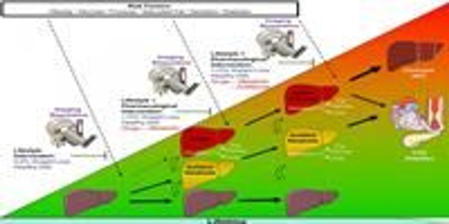 Novel Concepts for the Diagnosis of Fatty Liver and Personalized ...