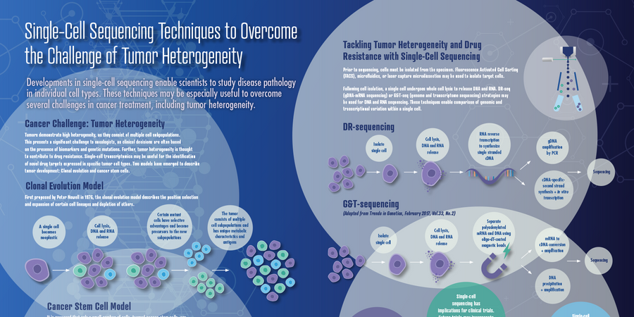Single-cell sequencing tumor heterogeneity | clinicallab
