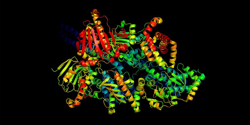 De novo Proteins in CSF Act as Brain Disorders Biomarkers | clinicallab