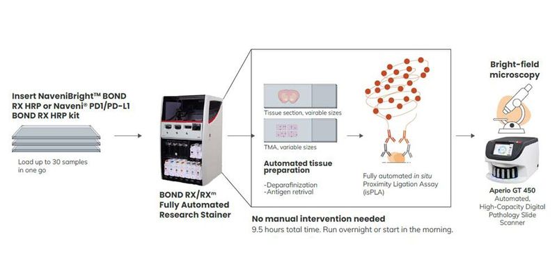 New Fully Automated Proximity Ligation Assays Aim to Simplify ...