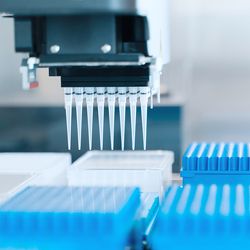 Solutions for Common Challenges in Developing PCR-Based Diagnostic ...