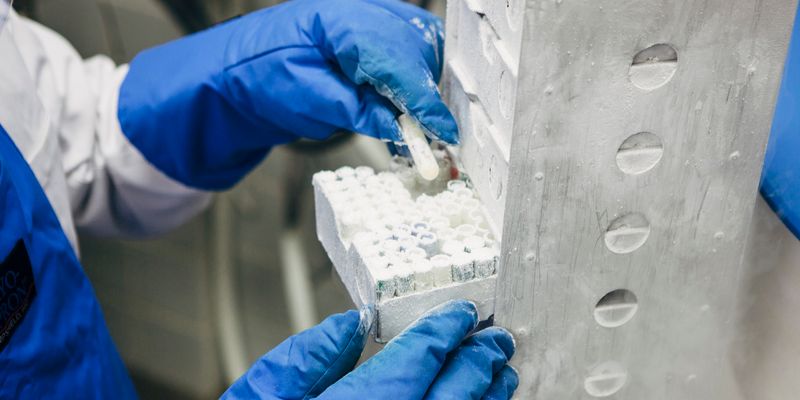 Key Considerations for Reliable and Cost-Effective Cold Storage ...