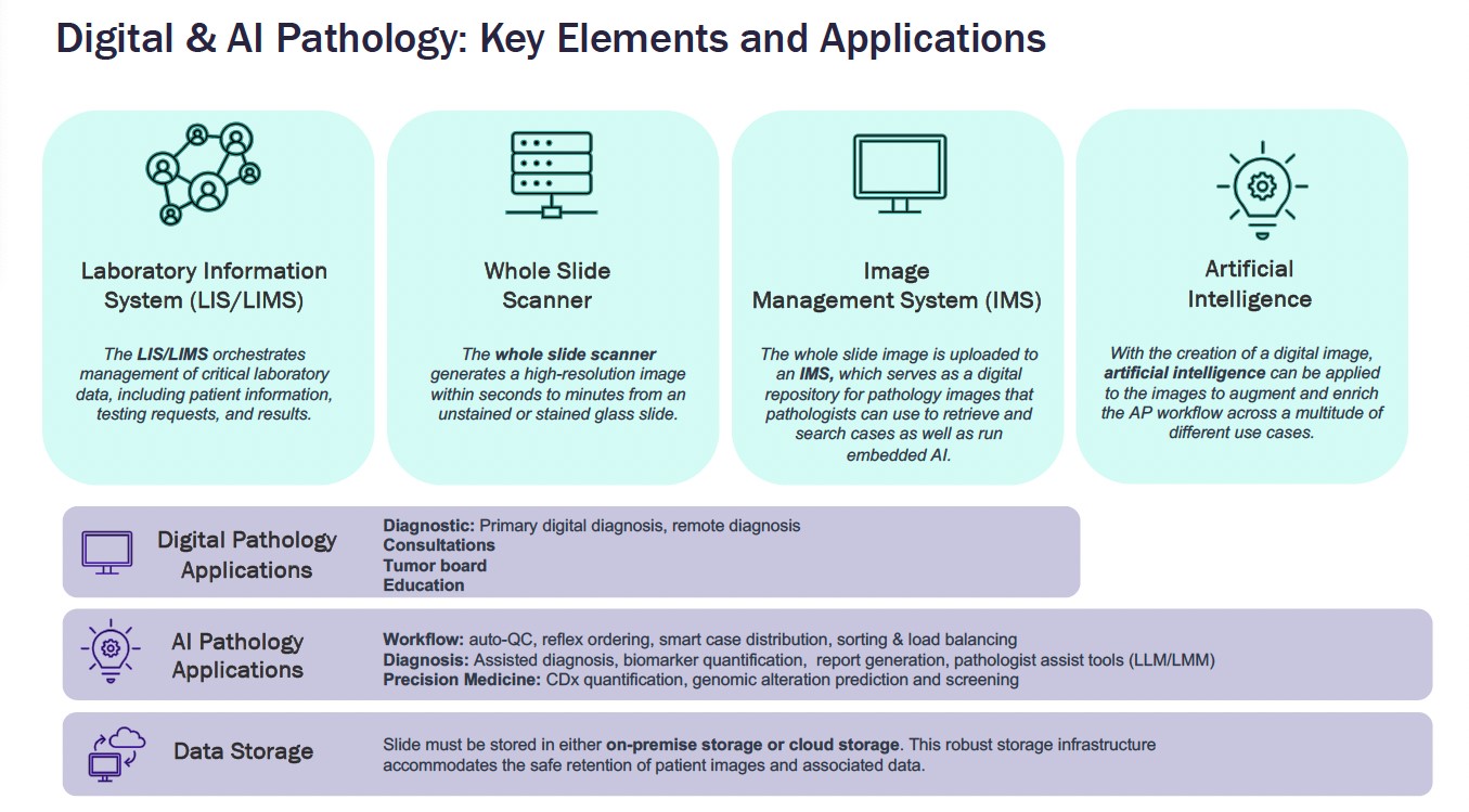 Planning for Digital & AI Pathology? Here Are the 3 Questions Every ...