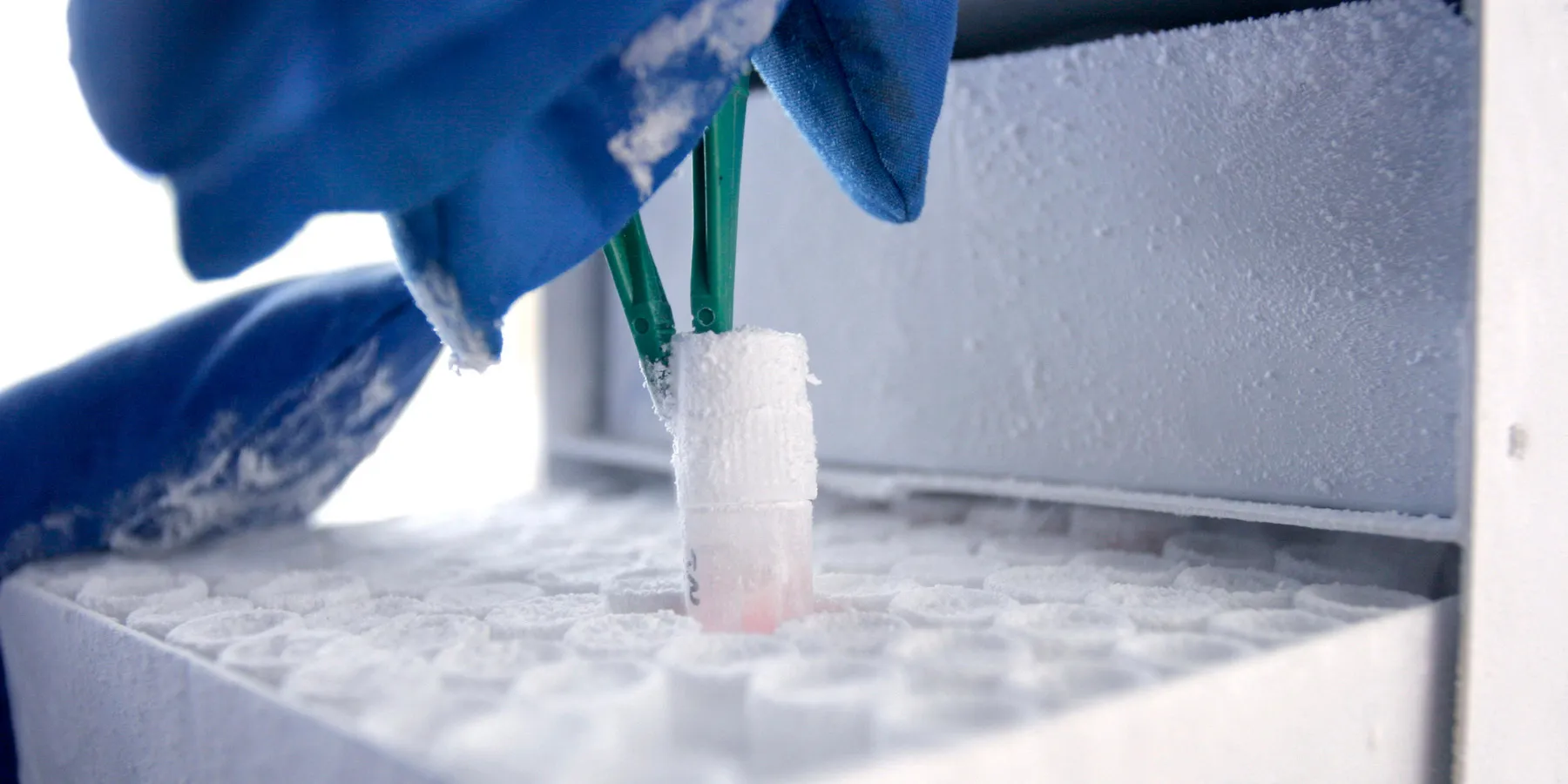 Where Sustainability Meets Security: Improving Blood Banking Cold ...