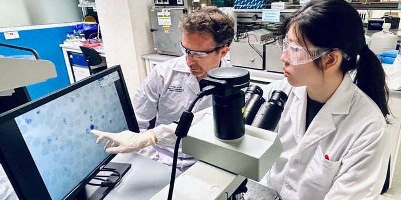 Researchers Identify Potential Therapy and Diagnostic Markers for ...