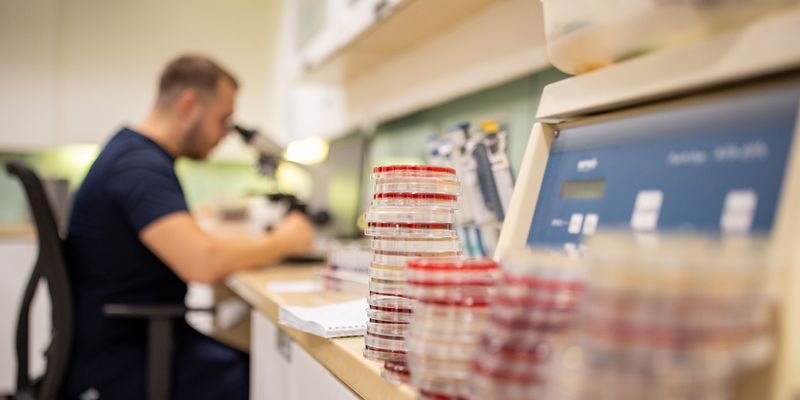 Direct-to-Consumer Gut Microbiome Testing Kit Results Vary Between Kits ...