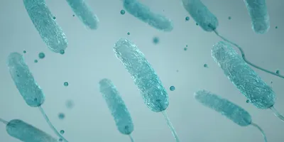 Beyond the Rapid Test: Automated Chemiluminescent Immunoassay Detection ...